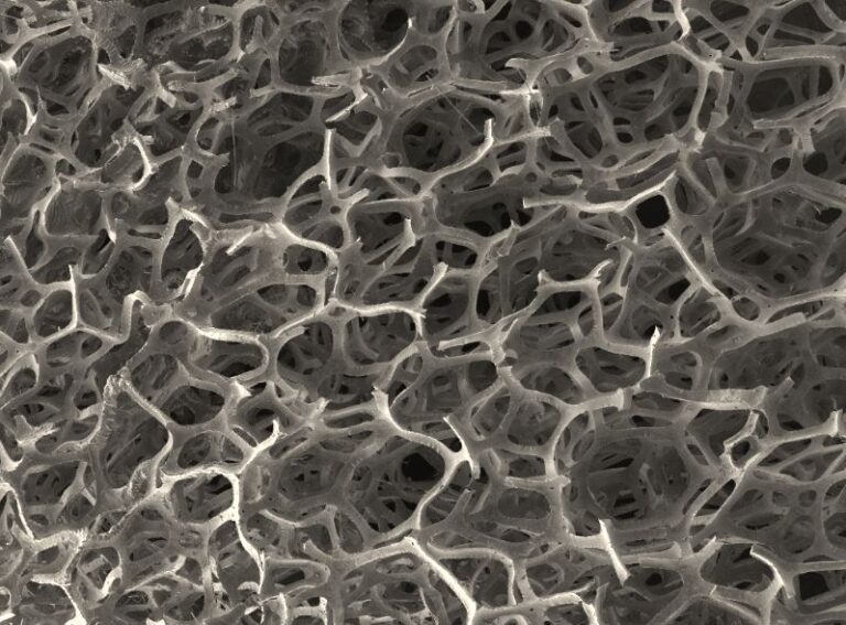 Porosity in Materials - Discover Materials